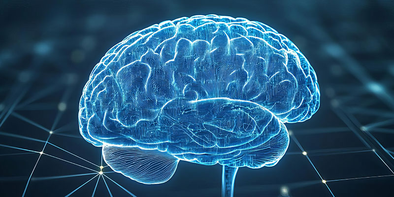 The Brain Is A Transducer, Our Soul the Messenger - Silouan Green